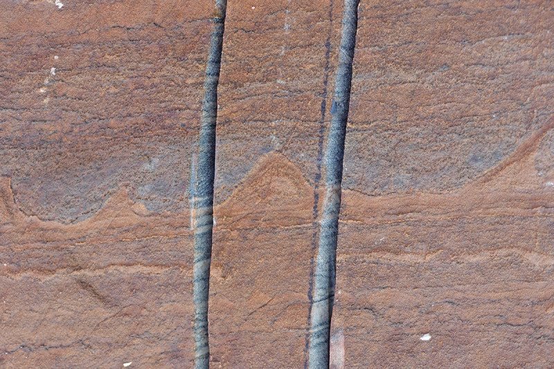 Greenland rock formations could be oldest fossils on Earth | Geological ...