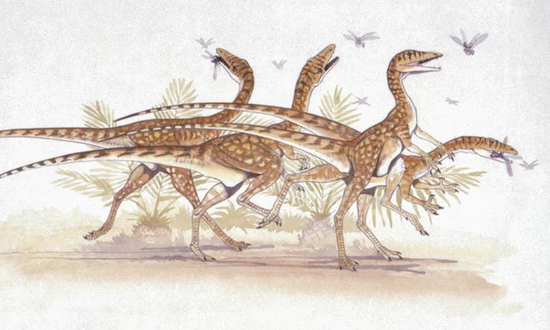 New dinosaur classification promotes Scottish fossil | Geological ...