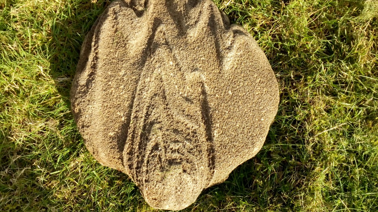 Mystery stone identified | Geological Society of Glasgow