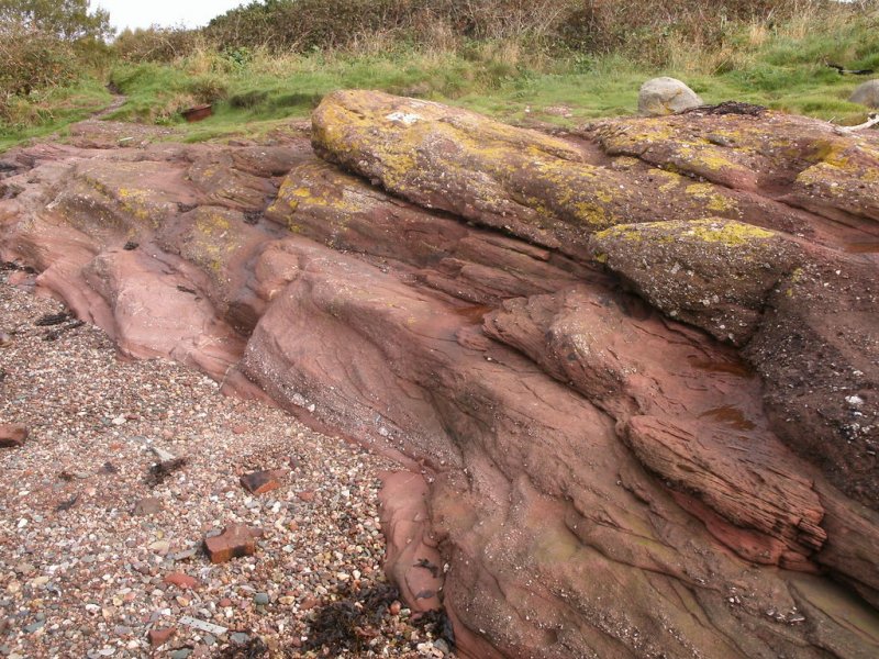 Ardmore Point | Geological Society of Glasgow
